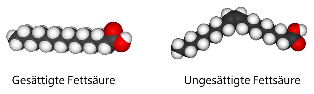 Ist Fett gleich Fett? Über den richtigen Einsatz von Fetten und Ölen ...