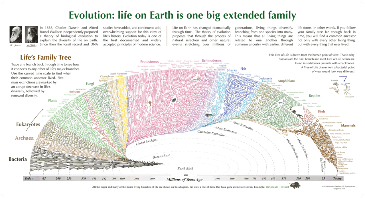 El Supositorio: Homenaje a LUCA (Last Universal Common Ancestor)