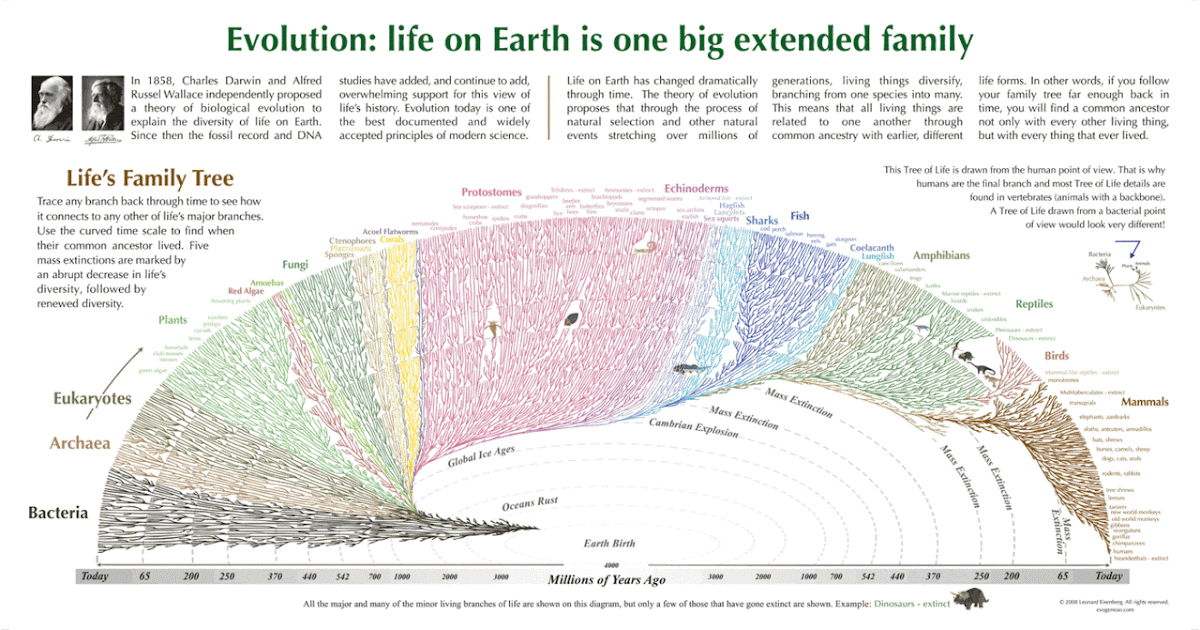 El Supositorio: Homenaje a LUCA (Last Universal Common Ancestor)