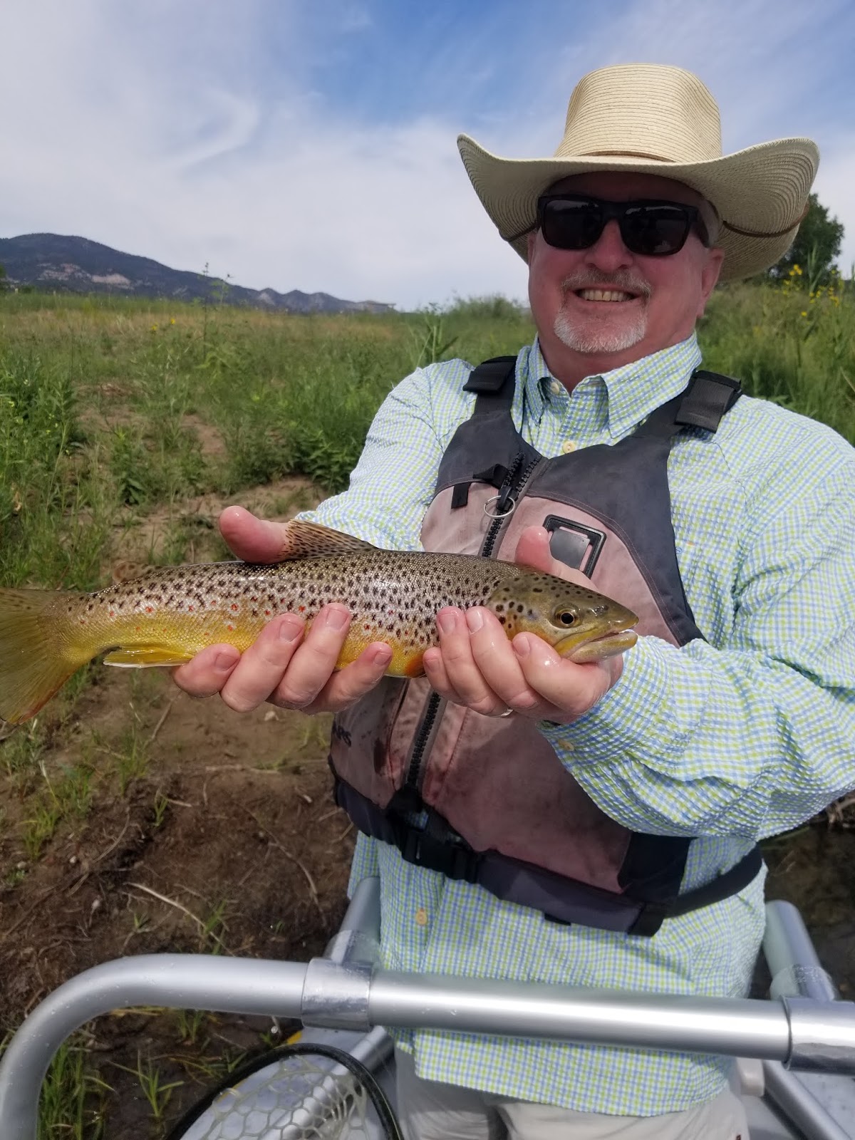 Fish Spotter: Stanley's Day