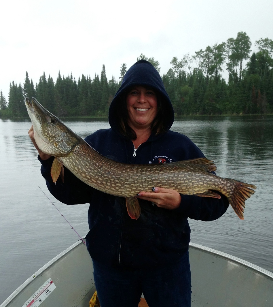 Bow Narrows Camp Blog on Red Lake Ontario: Sample of the size pike ...