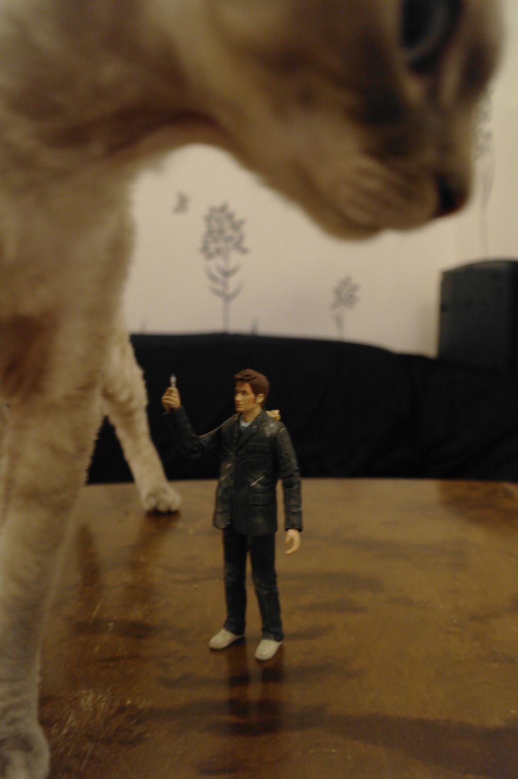 The Operacats: A Doctor Who fan you say? Here's something for you! (And ...