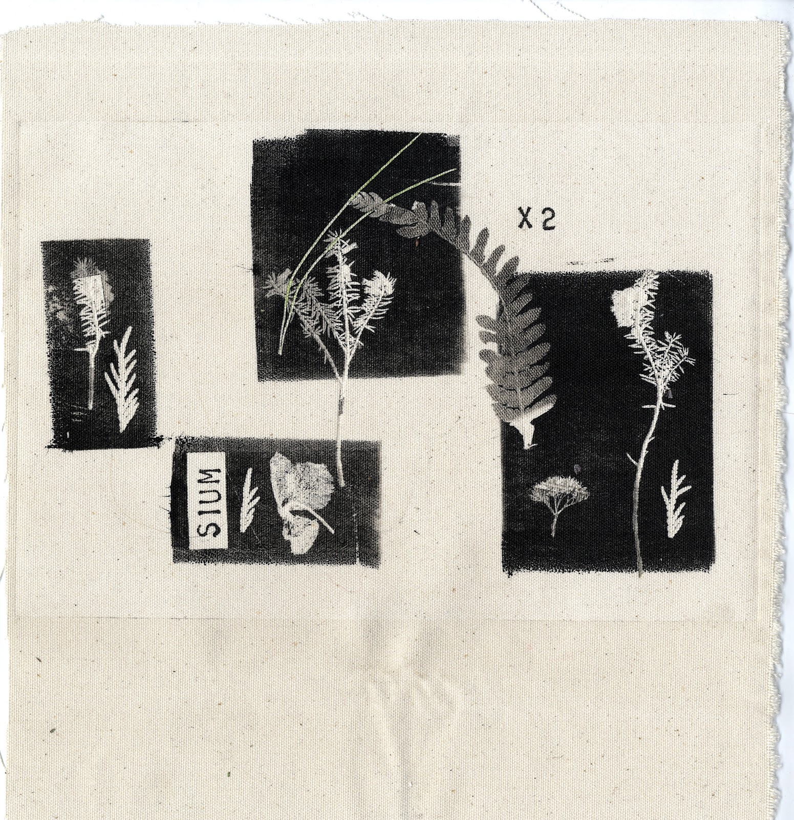 Daisy Waite: April 2012