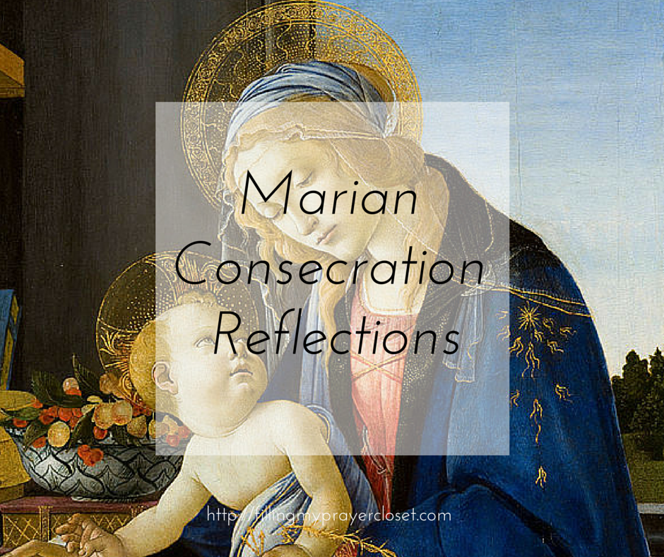 Marian Consecration Reflections