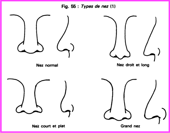 ALERTE VOTRE CORPS VOUS PARLE: N°6 - LE NEZ, LES JOUES, LA BOUCHE ET ...