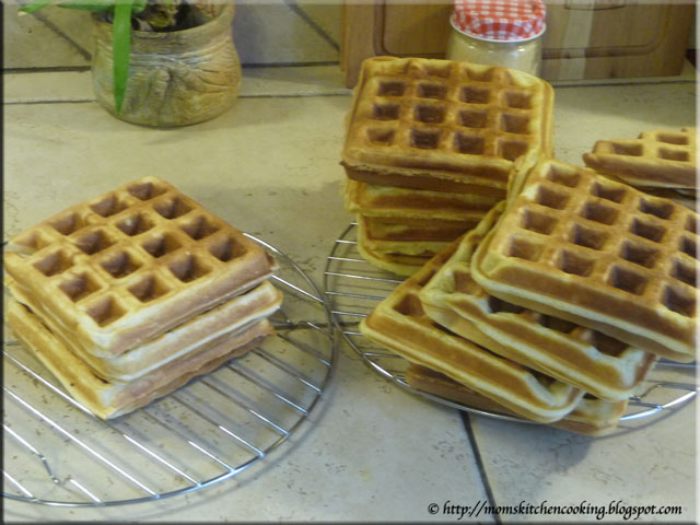 Homemade Verses Store Bought Plain Waffles | Gardening