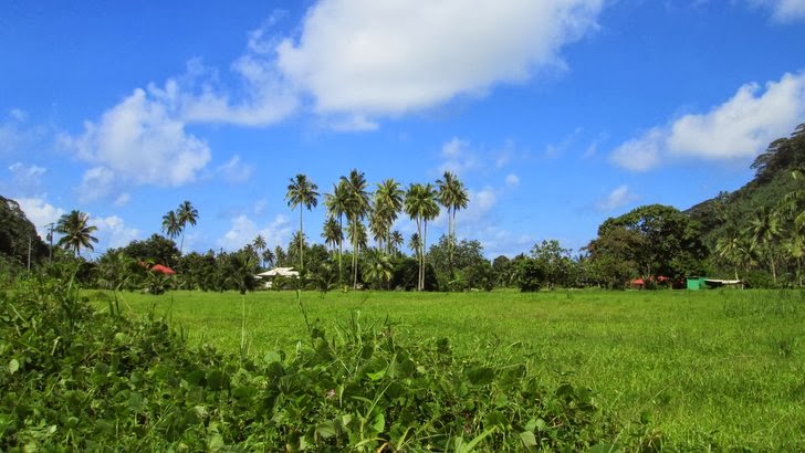 Les berges de la rivière Vaitepiha à Tautira