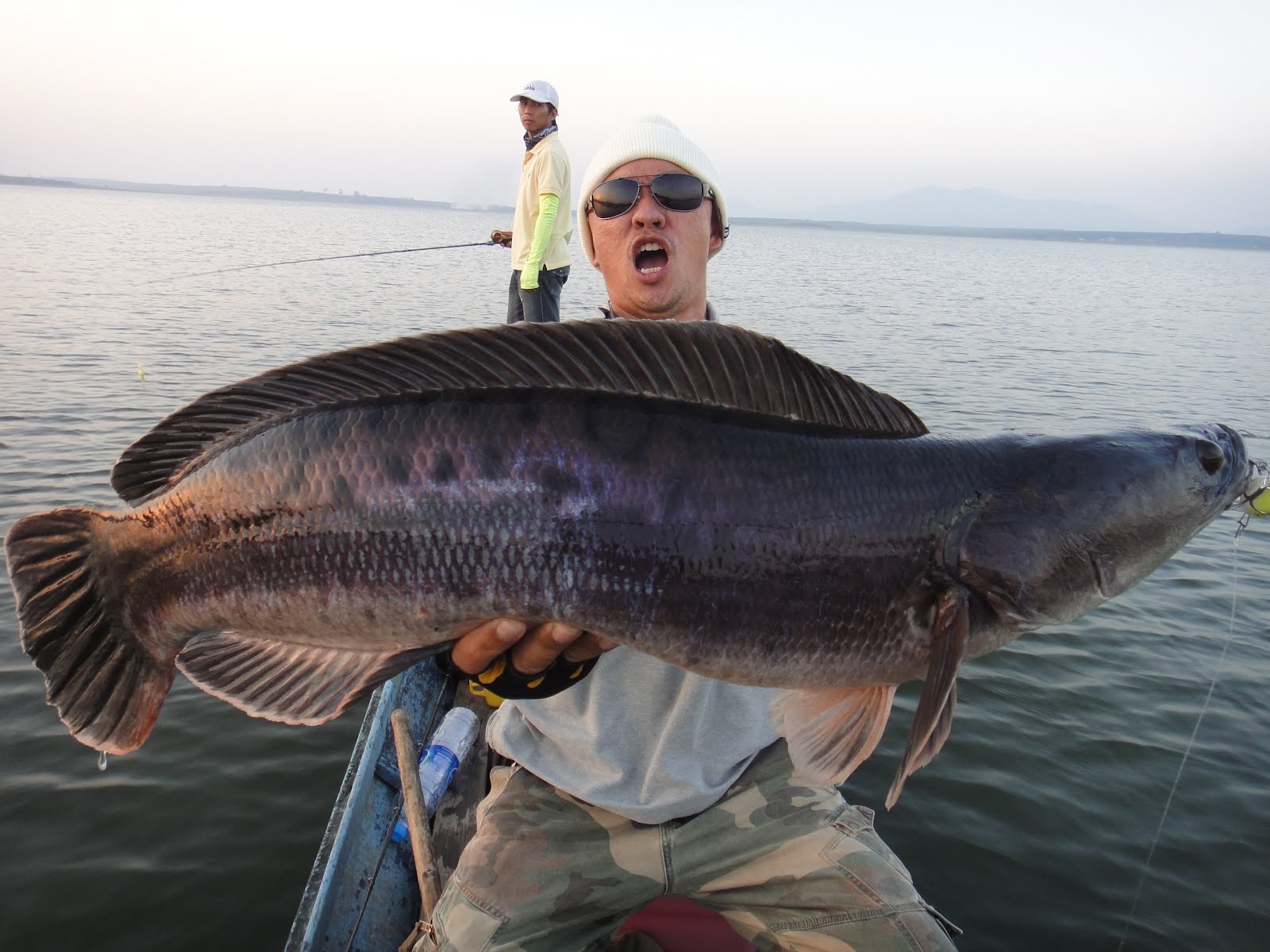 Thailand Giant Snakehead (Toman) And Wild Fishing.: 7.80KG Massive ...