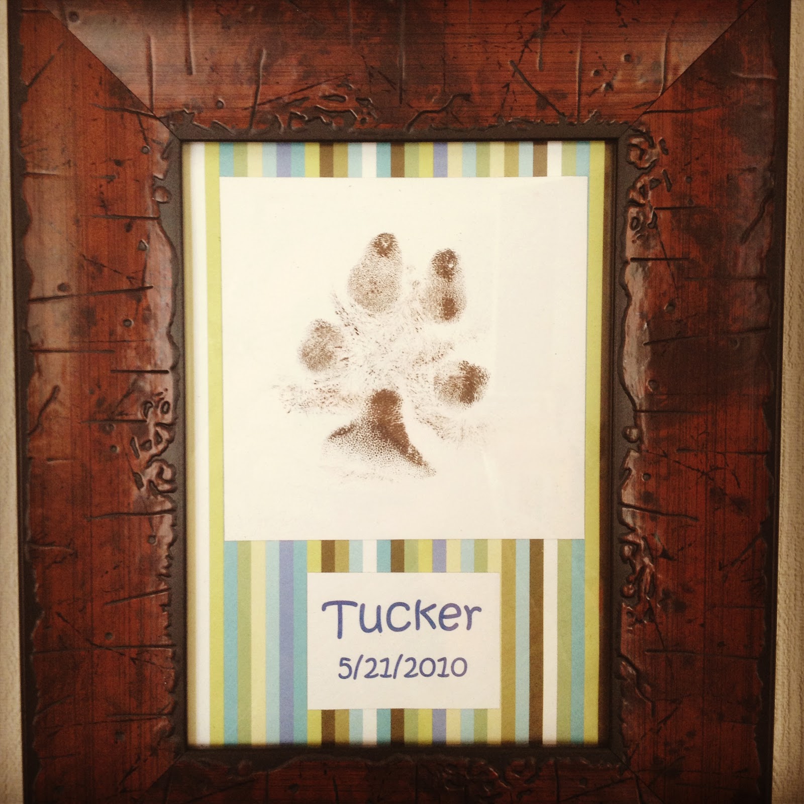 Southern Wag Pet Accessories: Framed Paw Print Tutorial