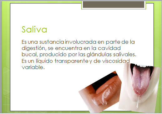 UNIembriologia: La Saliva y las Glándulas Salivales