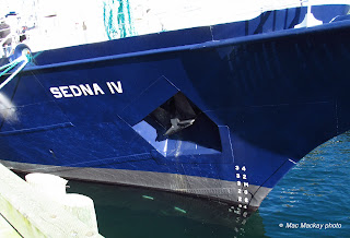 Shipfax: Sedna IV - Earth Day visitor