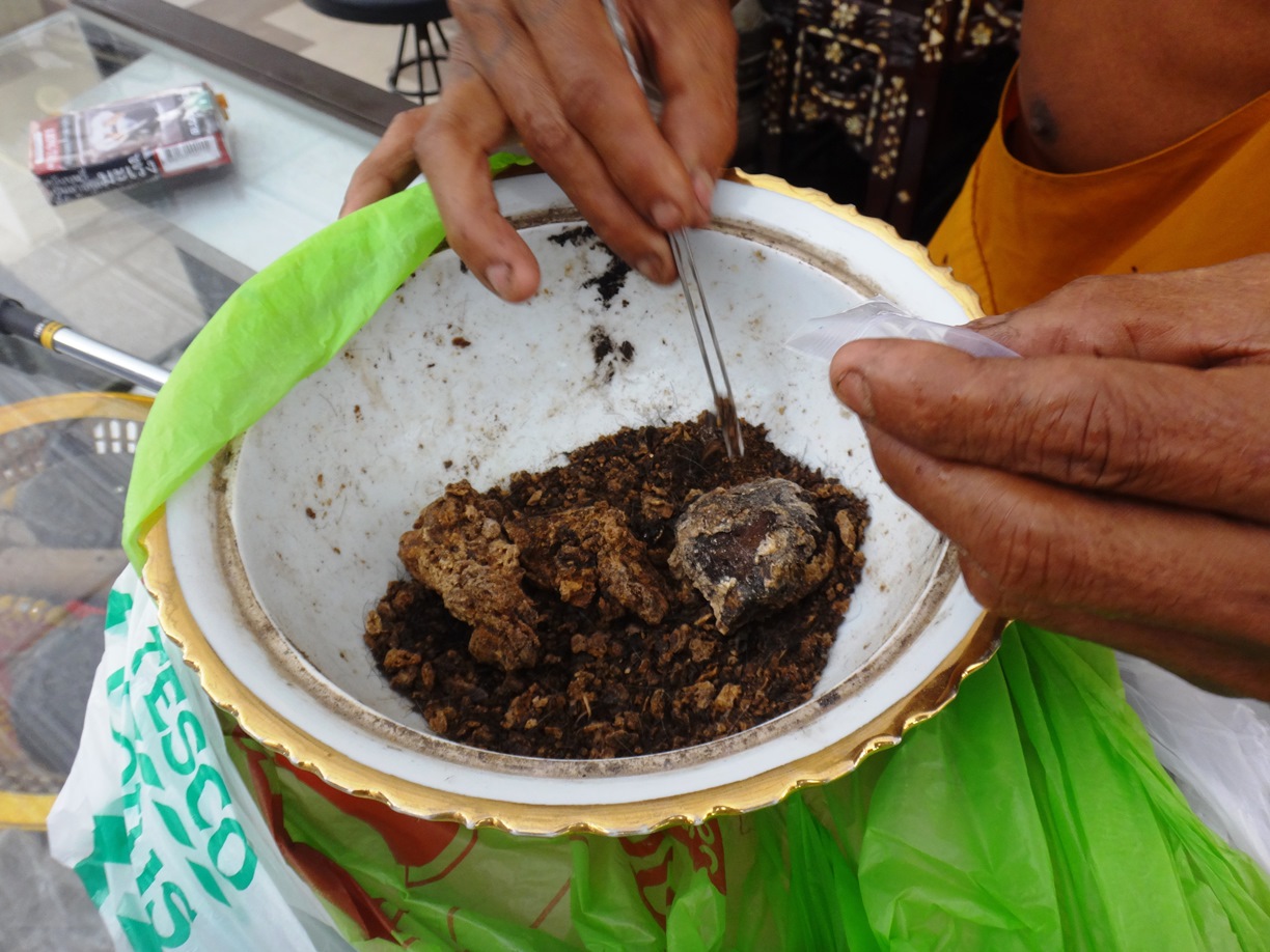 Temples In Thailand: Saraburi - Wat Sanamlao - LP Pinak