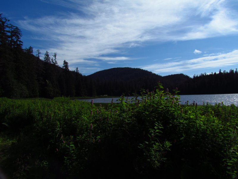 Grandma's Grand Adventures: July 21, 2011 - Sunny Day - Harbors, Totems ...