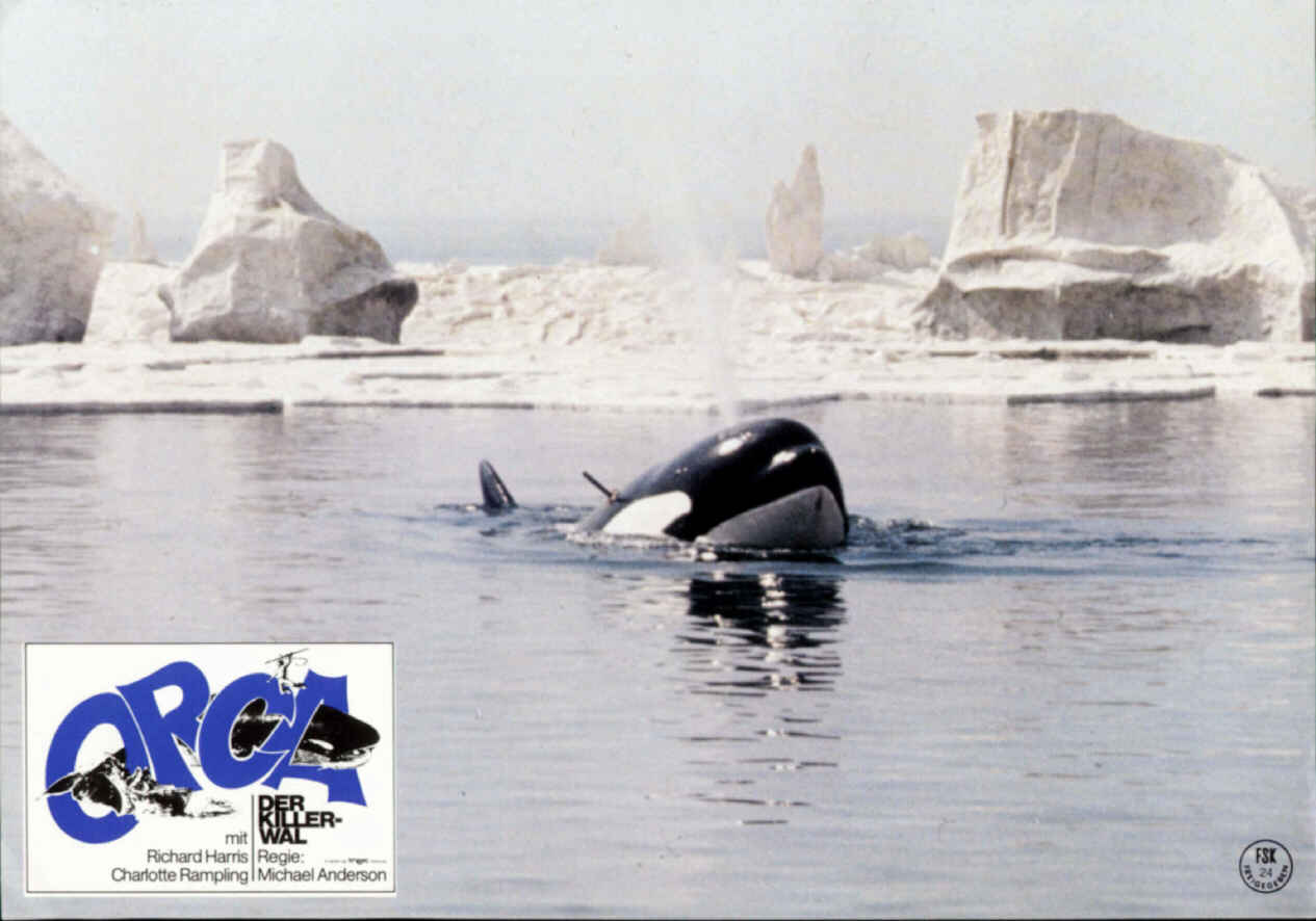 Todo El Terror Del Mundo: Orca, La Ballena Asesina (Orca - The Killer ...
