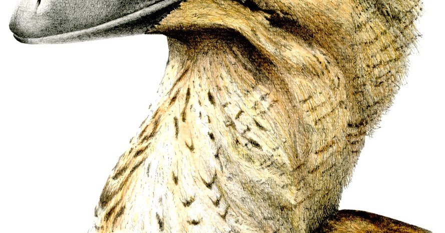 Love in the Time of Chasmosaurs: Meet the artist: Jed Taylor