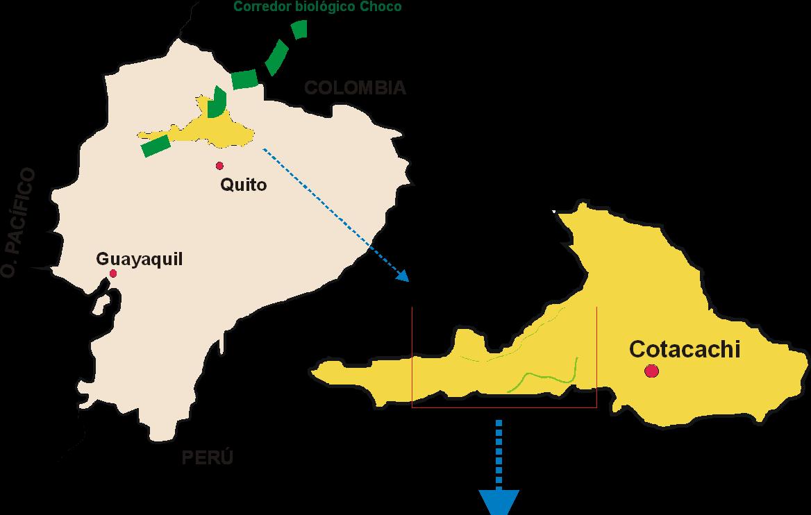 RED ECOTURISTICA INTAG: Servicios