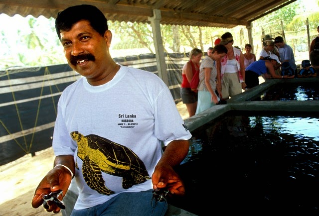 Gossip Lanka: kasbawa