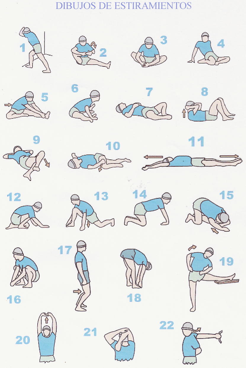 PLE - Acondicionamiento Físico: Ejercicios de flexibilidad