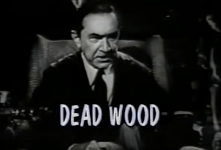 Dead 2 Rights: Ed Wood Wednesdays: The Wood Immortality Odyssey by Greg ...