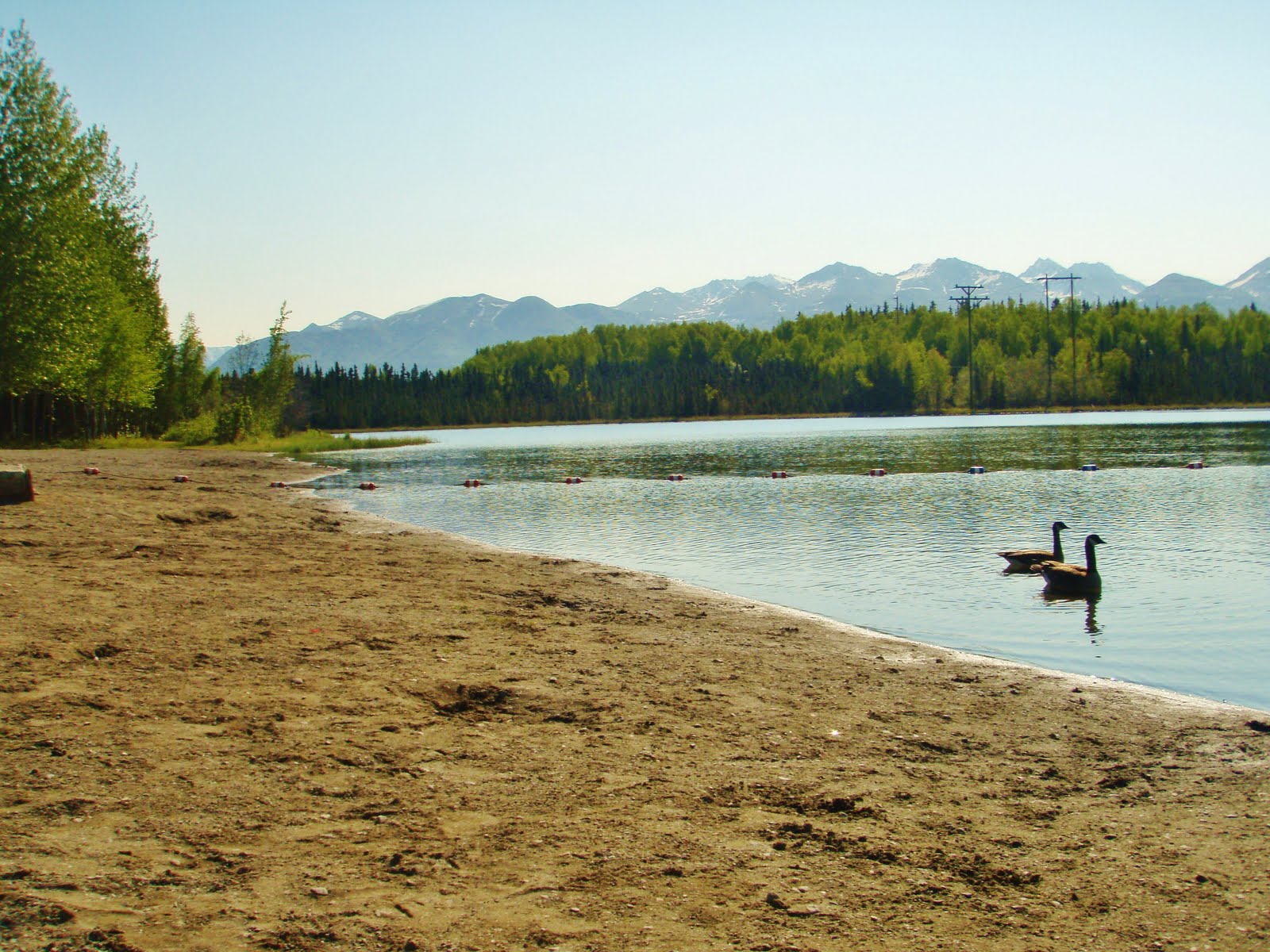 Immeasurable Blessings: Goose Lake Park