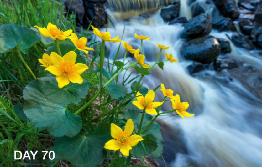 bensozia: Jim Brandenburg, 93 Days of Spring