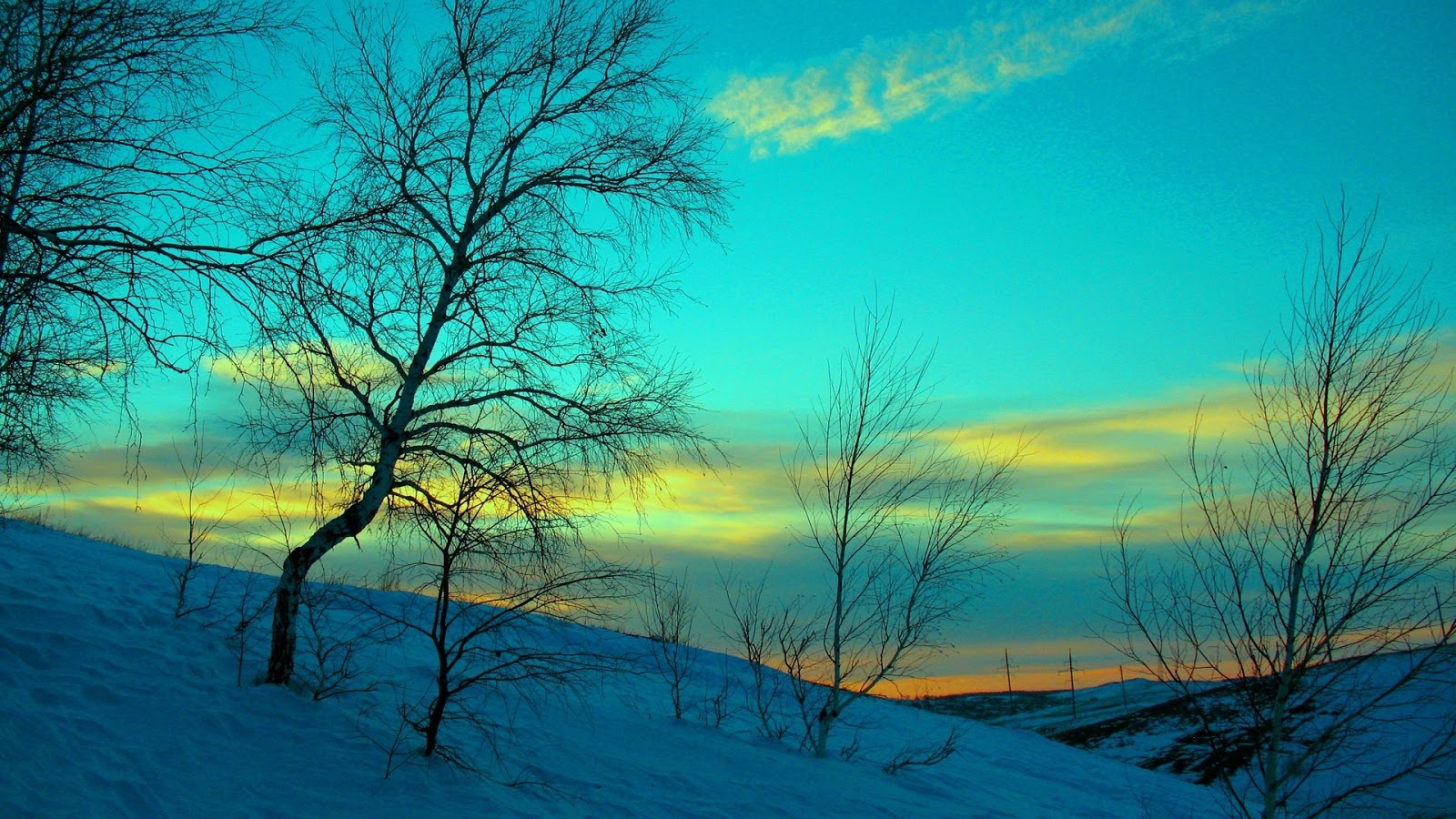 Fondo de Pantalla Parajes invernales en la noche | Fondo Pantalla Online