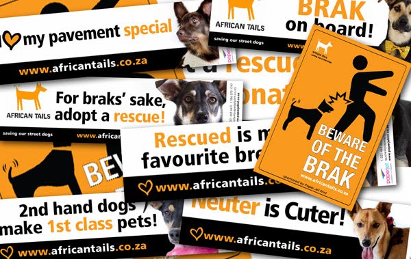 Printing Cape Town - Paperjet Print: African Tails