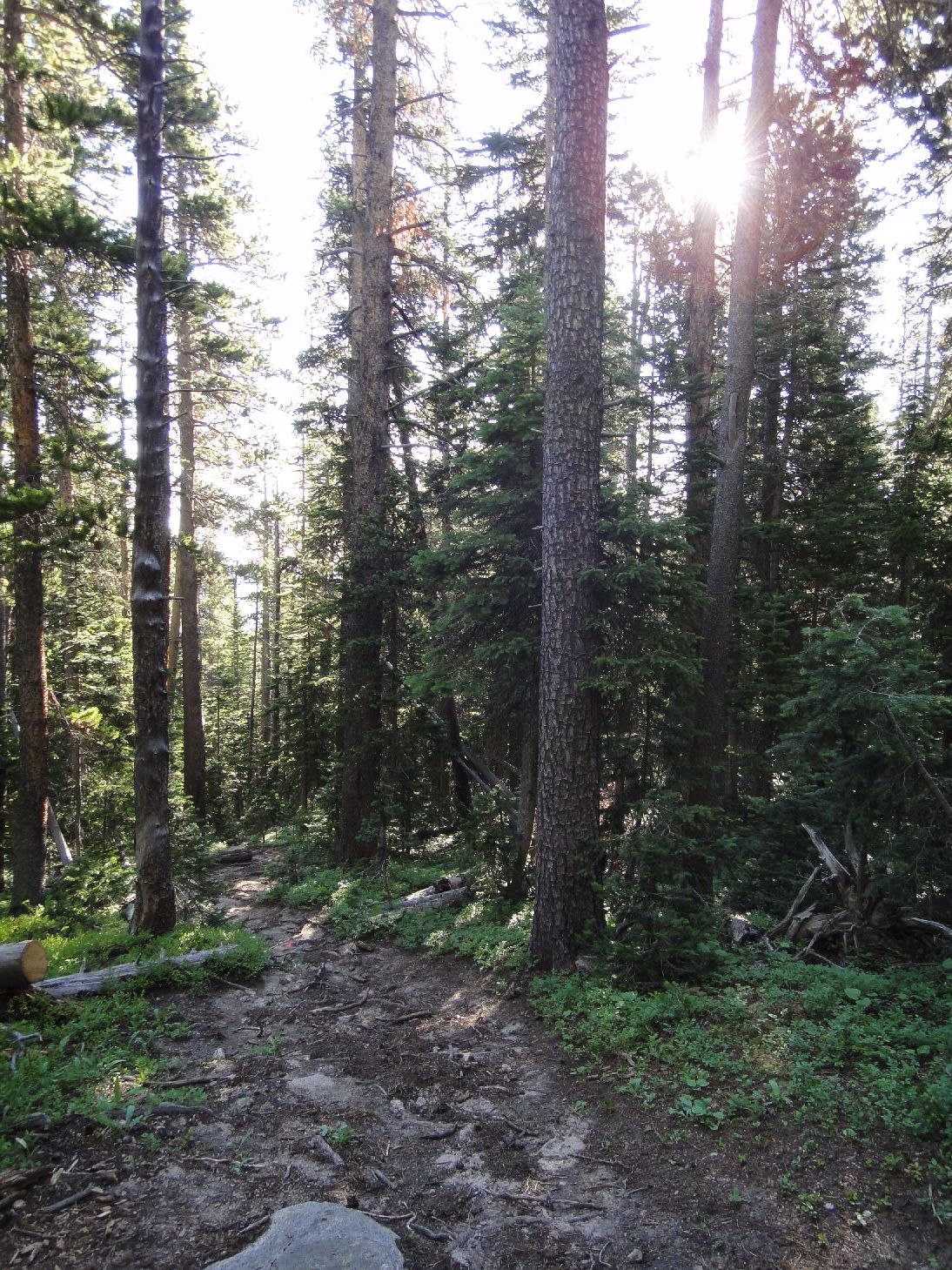 Hiking Rocky Mountain National Park: Mt. Meeker via Horse Creek Trailhead.