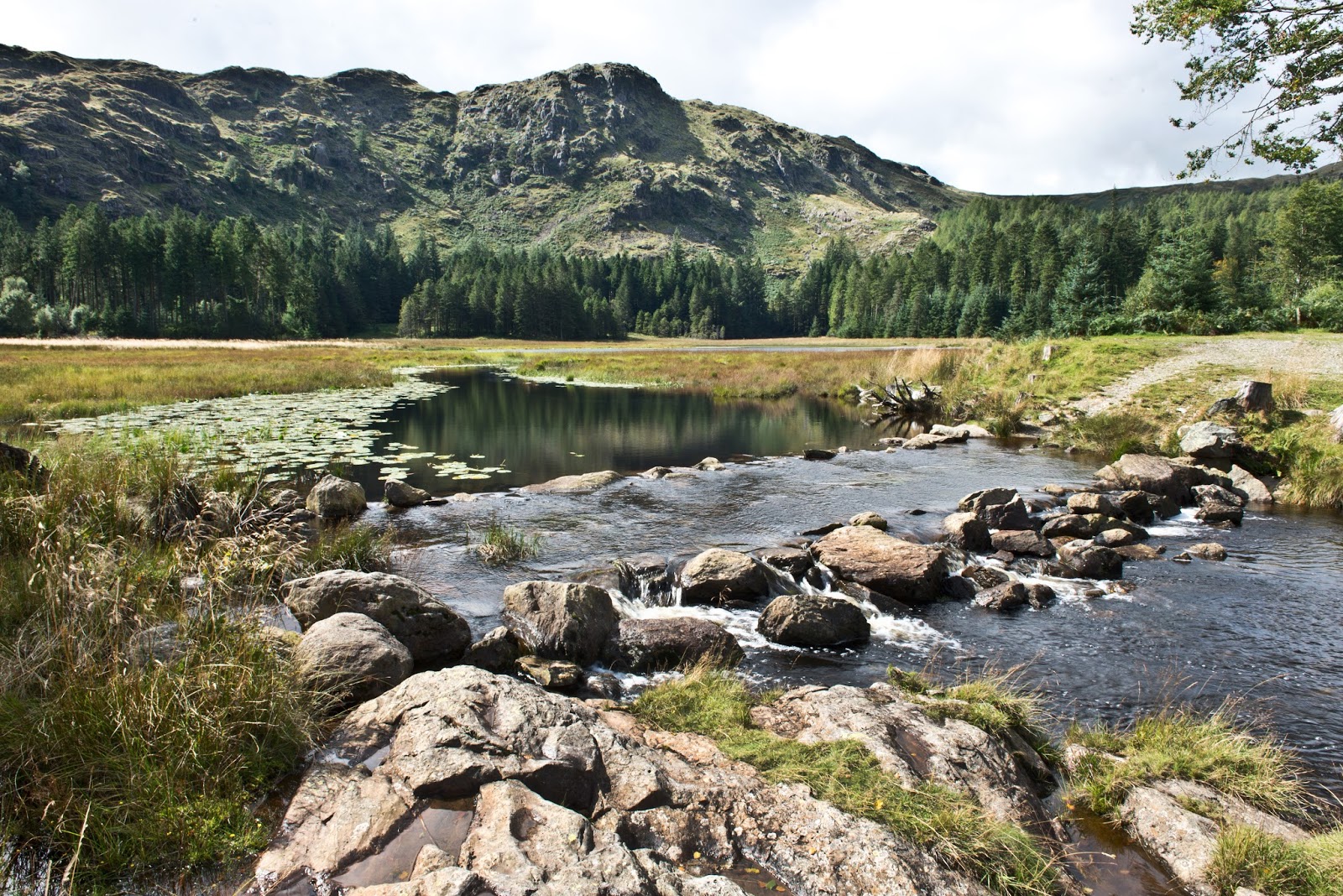 Wigtwizzle - Norman Smith's Travel Blog.: Harrop Tarn and Thirlmere