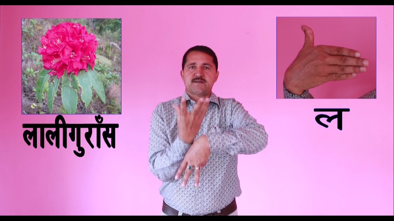 Nepali Sign Language: Consonants Of Nepali Sign Language (NSL) Alphabet ...