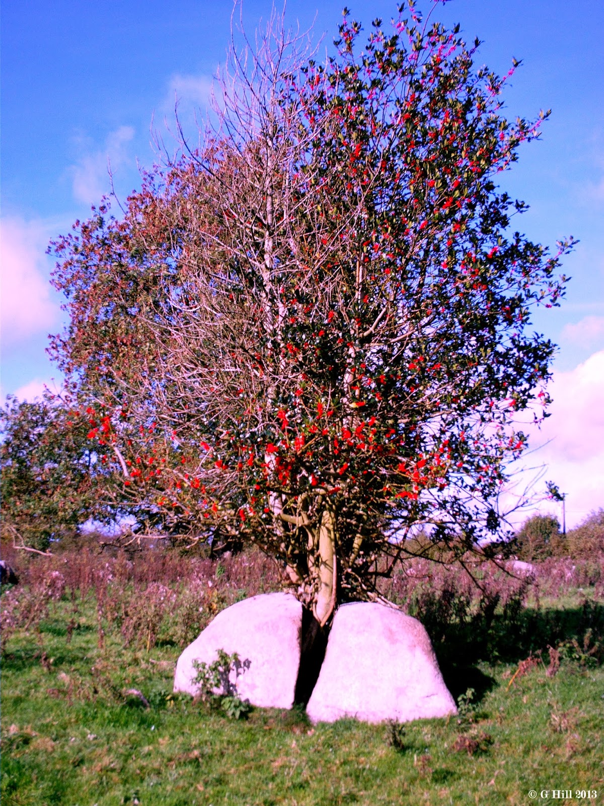 Ireland In Ruins: Broadleas Stone Circle Co Kildare