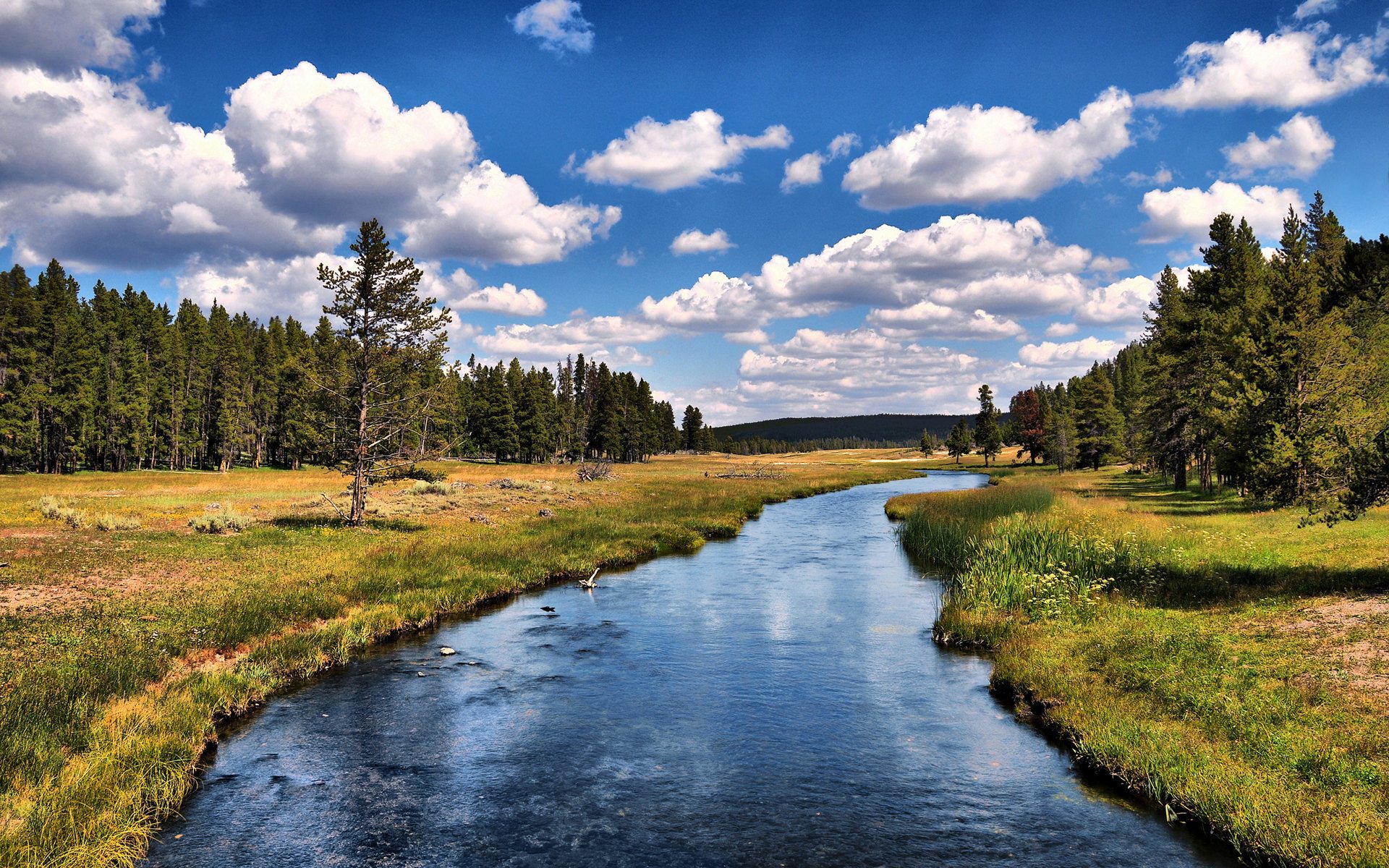 Summer River Wallpaper
