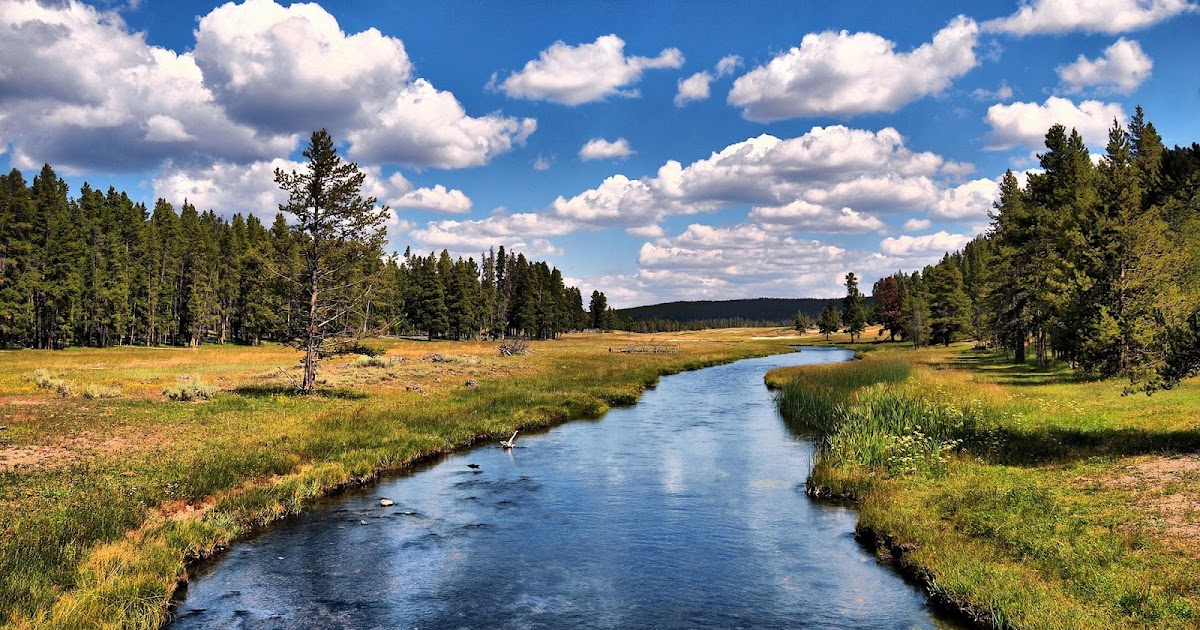 Summer River Wallpaper