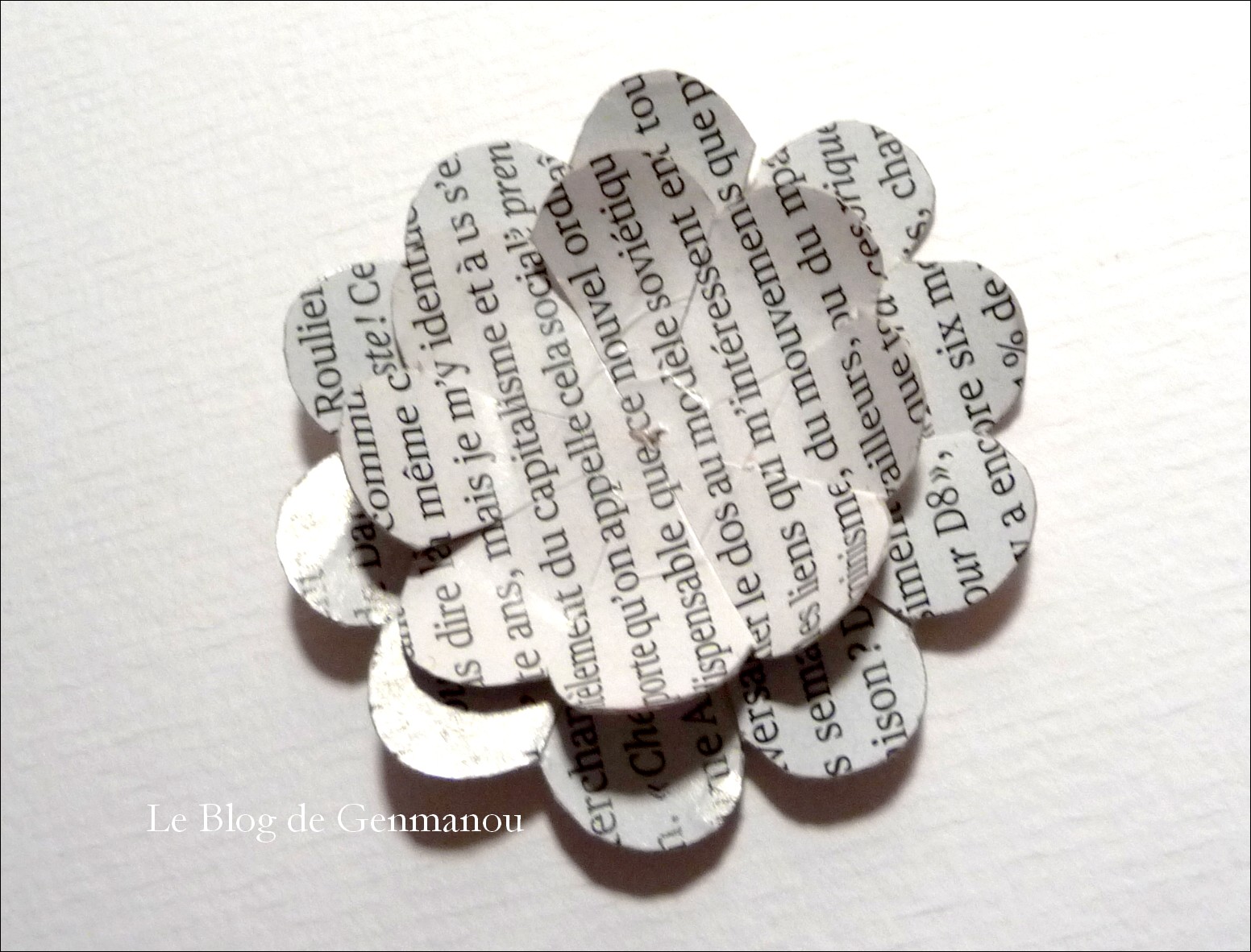 Le Blog de GENMANOU: Anoblir le papier journal