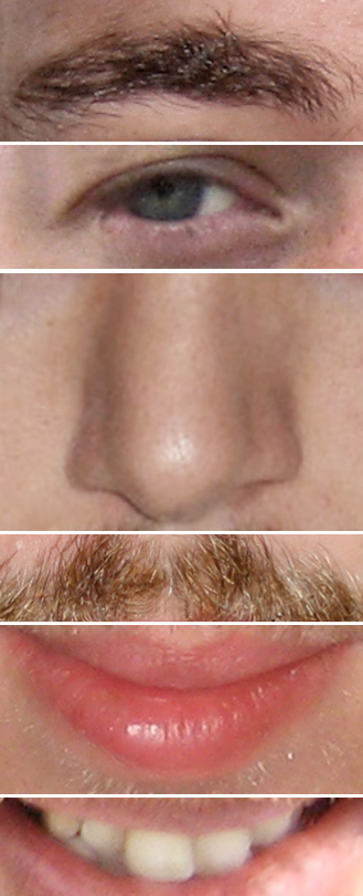 NU SKA DET BLI ANDRA BULLAR: LEDIG LILLEBROR DEL 6 - KALUFS KAVALKAD