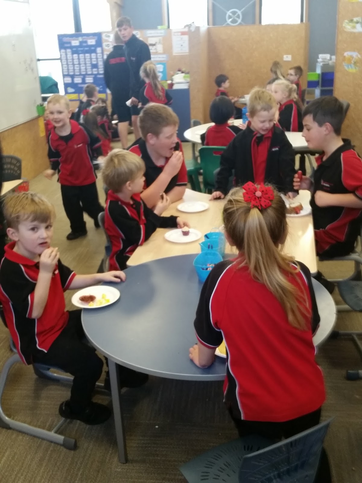 Celebrating Matariki in the Pukeko Nest
