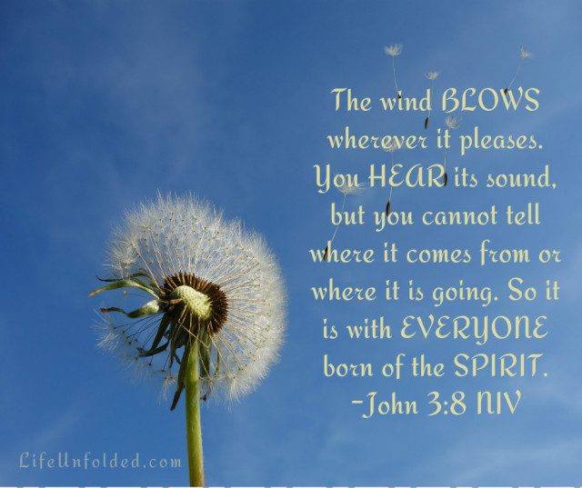 Jesus and a New Spiritual Israel! - More than Overcomers! Chapter 44 ...