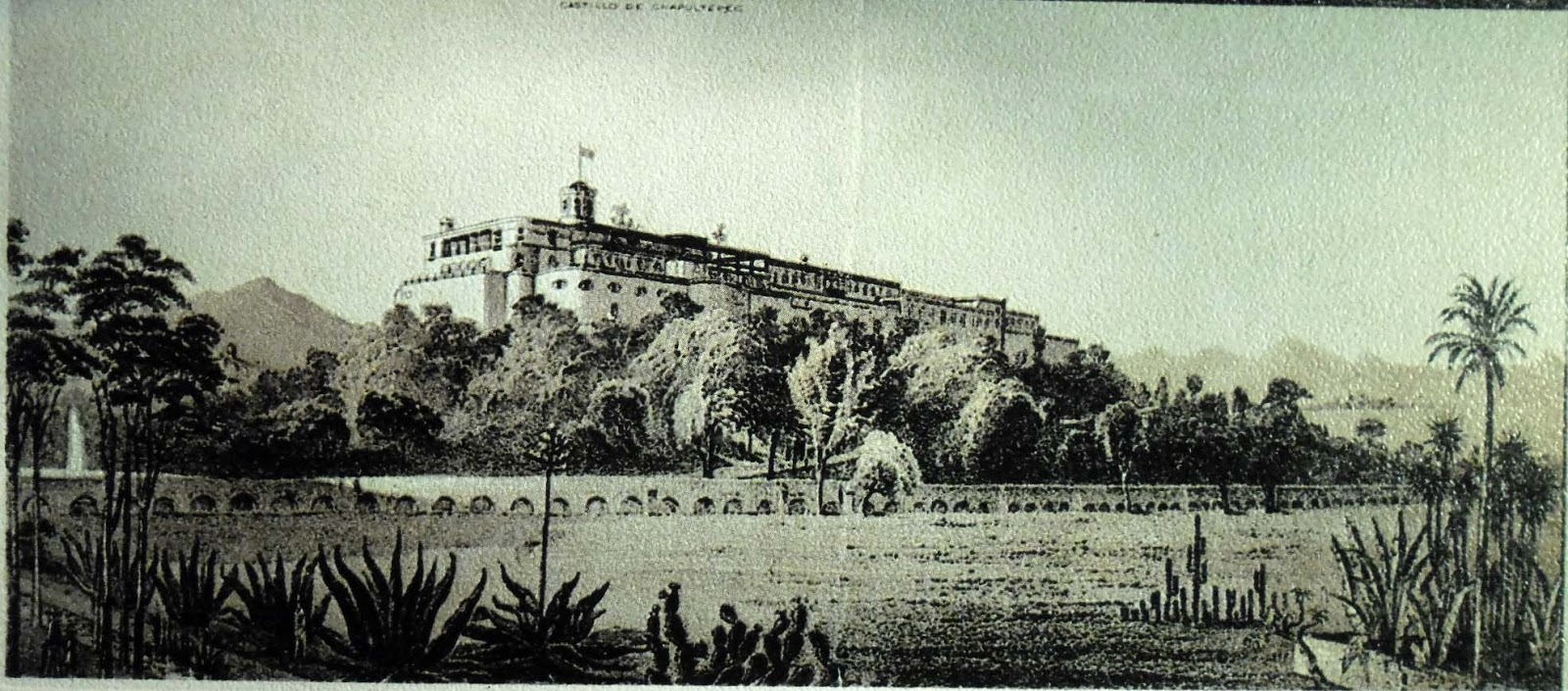 VIVA MEXICO, VIVA MEXICO: Cartografía: Ciudad de México (1890)