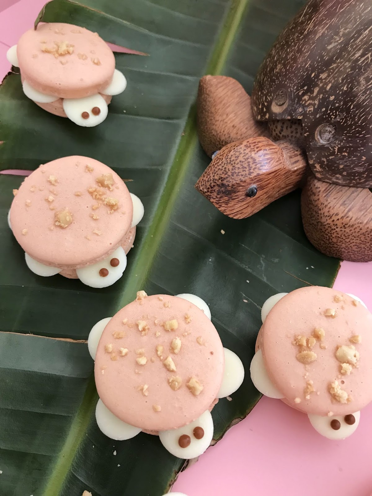Nutty Turtle Macarons