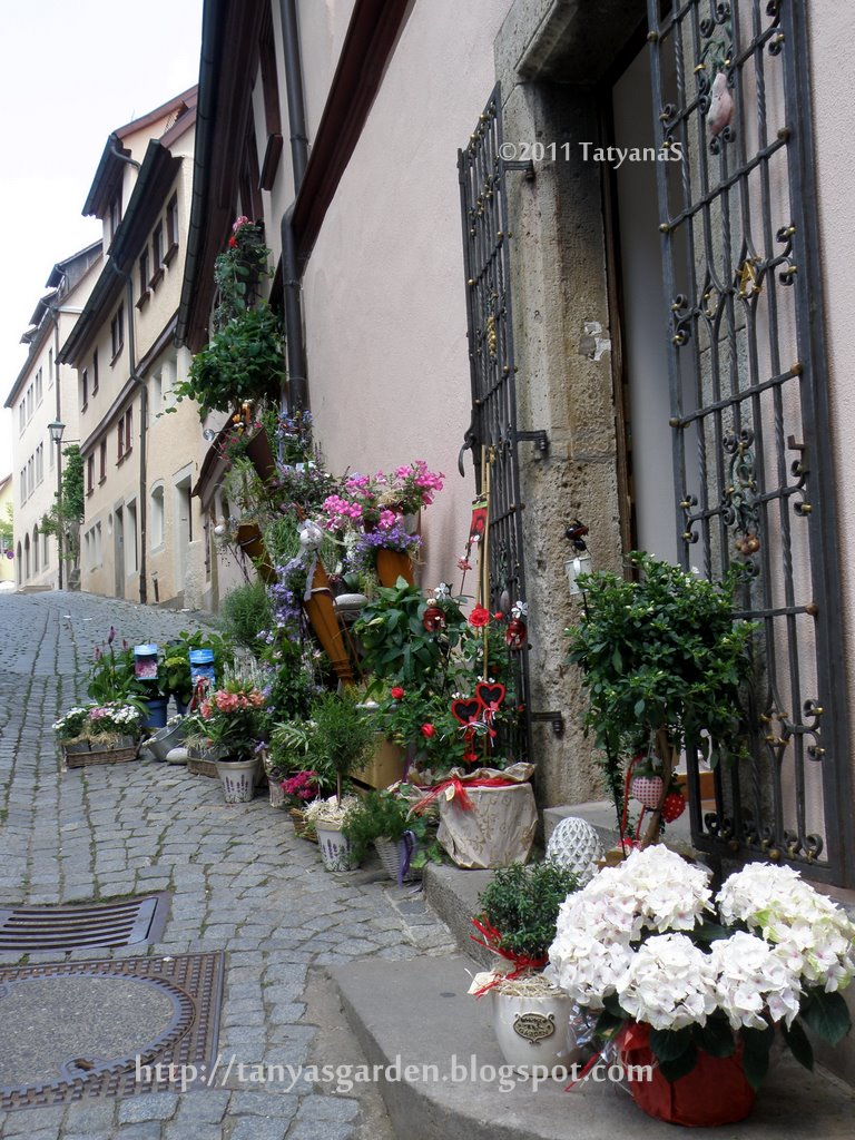 MySecretGarden: Geraniums From My German Trip