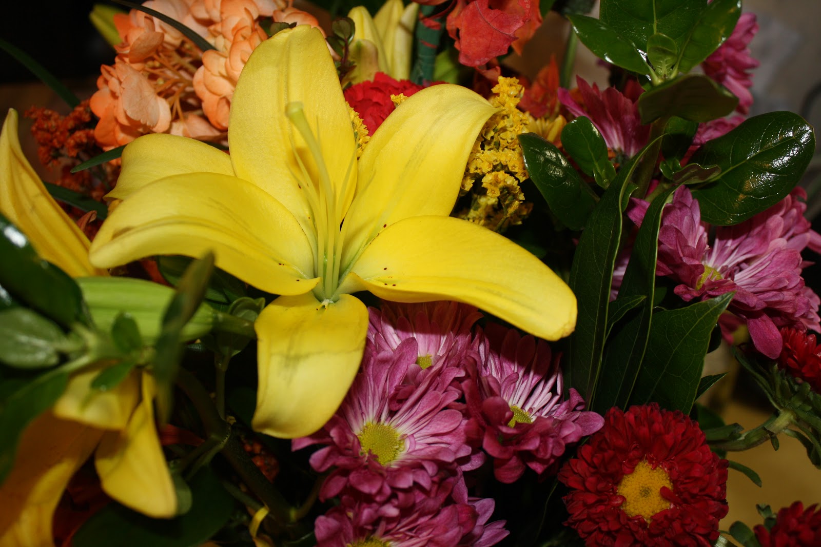 speaking of flowers ~ flower lingo | Caravan Sonnet