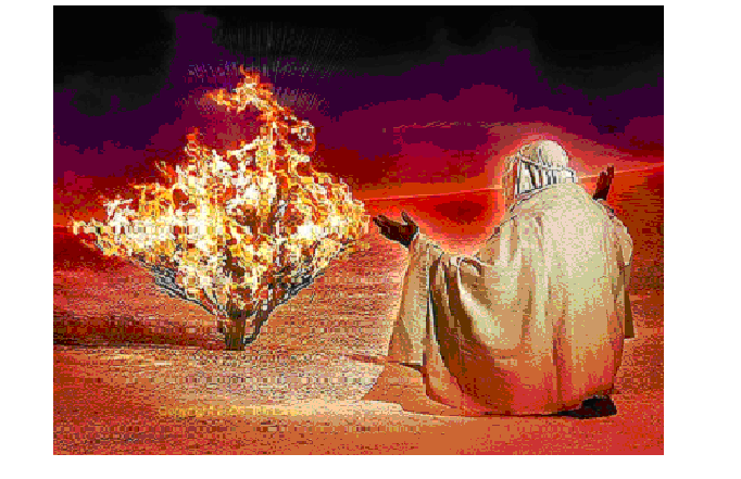 The Greatest Truth Never Told!!!!!!!!!!!!!!!!!!!!!!!!: The Most High ...