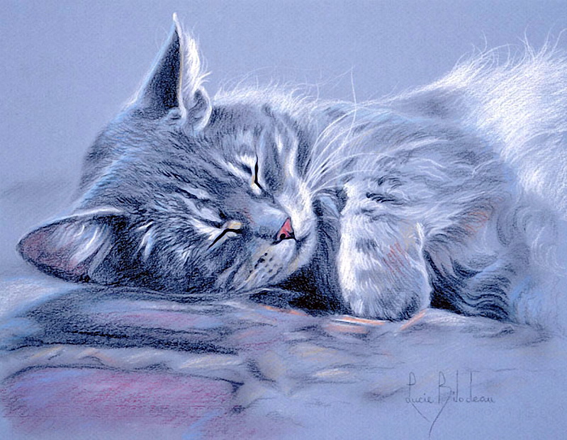 Lucie Bilodeau, 1967 | Wildlife painter | Tutt'Art@ | Pittura ...