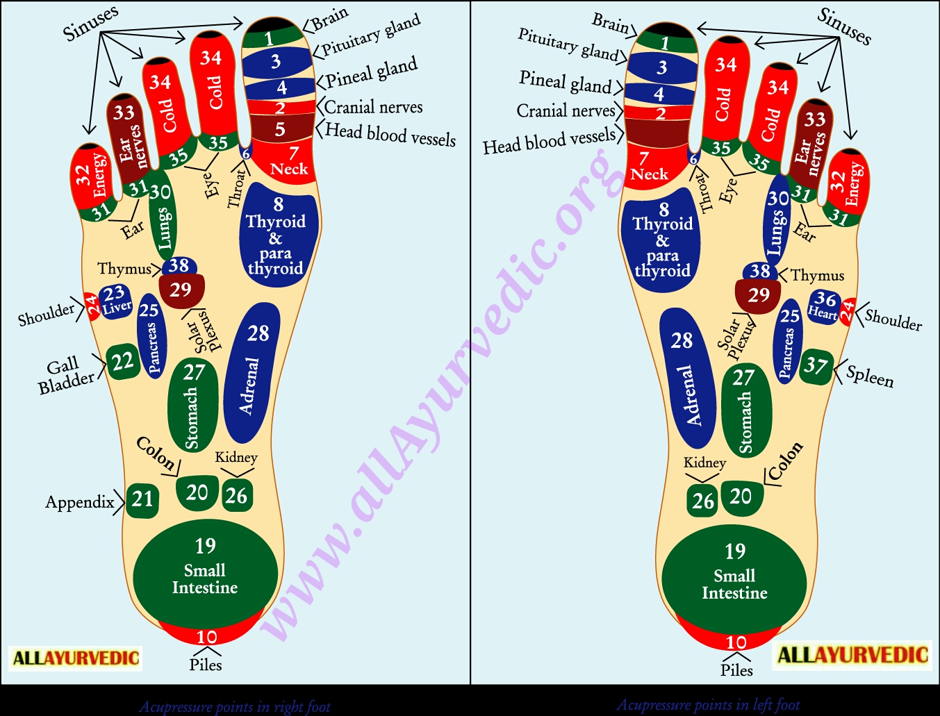 The advantages of pressing the palm point By social worker Vanita ...
