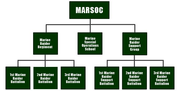 Special Forces Association Chapter IX: 10 years of MARSOC: How the ...
