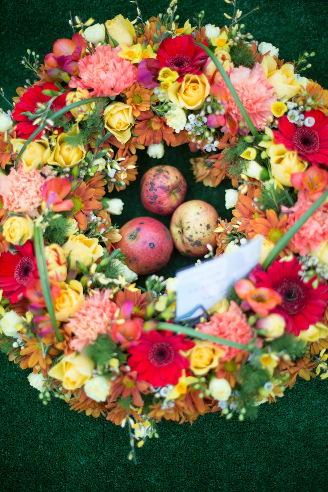 IAMCIDER: Documentary explorations into the world of Cider by Bill ...