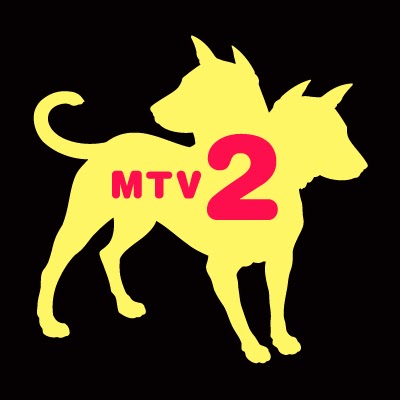 MTV = The Perfect Combination: Week 11- Delevoping and Managing ...