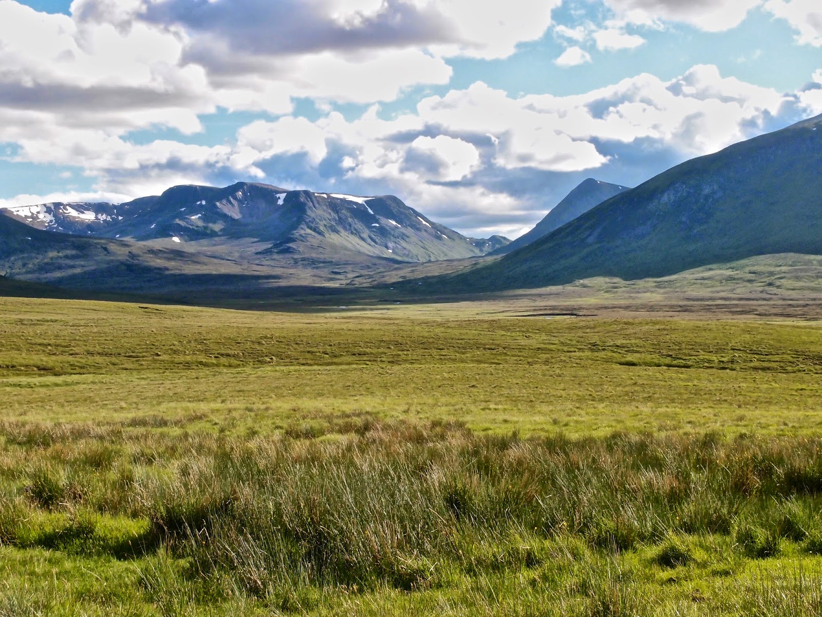 KYQ4: Geal-charn by Lancet Edge