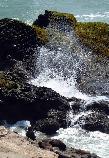 Raf's High-Res Travel Photos: Punta Balcones, Peru