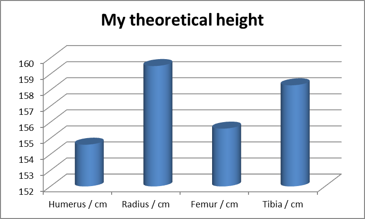 Science E-portfolio: Forensic Science: Skeleton Measurements